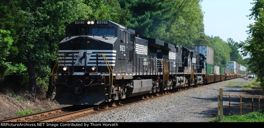 NS 9123 heads up this train of COFCs at MP 48 LEHL on NS 211